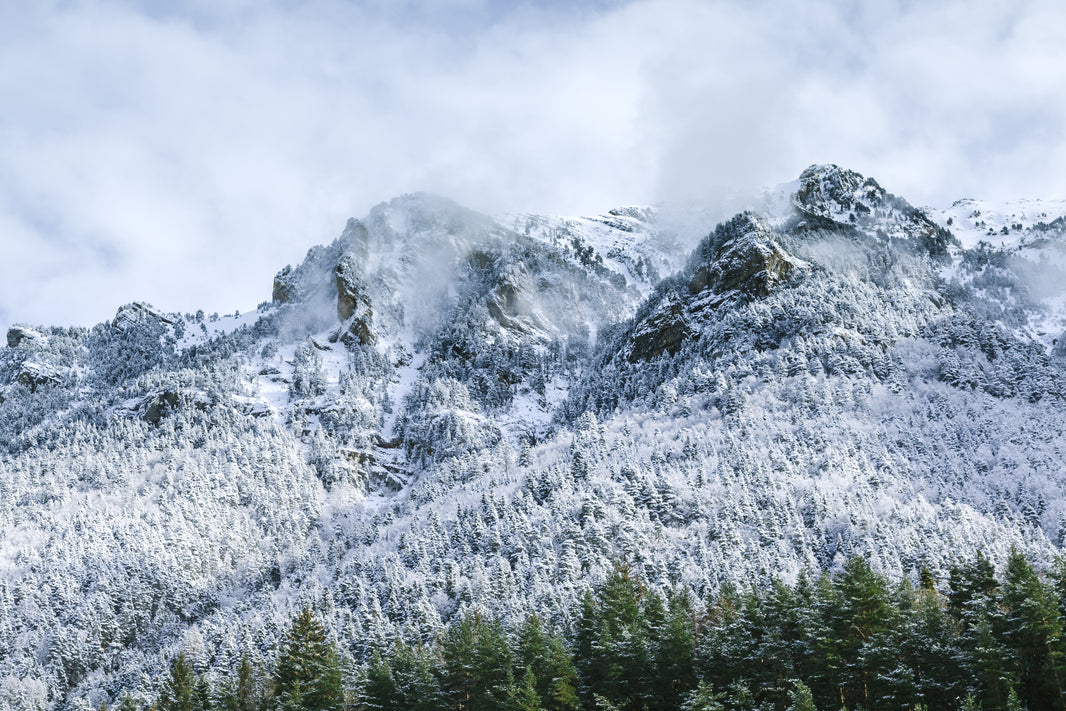 About us – Gailarde Limited